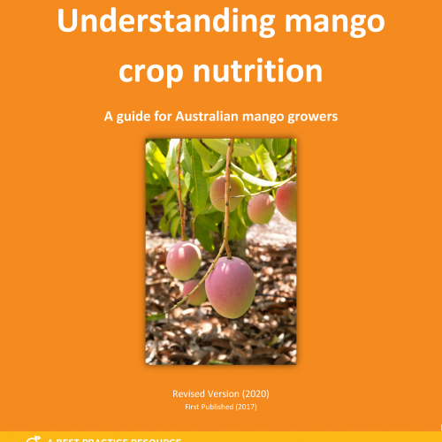 Mango Tree Growing Tips And Nutritional Information