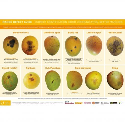 Australian Mango Industry Association